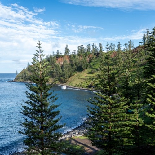 Marking 40 years of Norfolk Island National Park | Norfolk Island ...